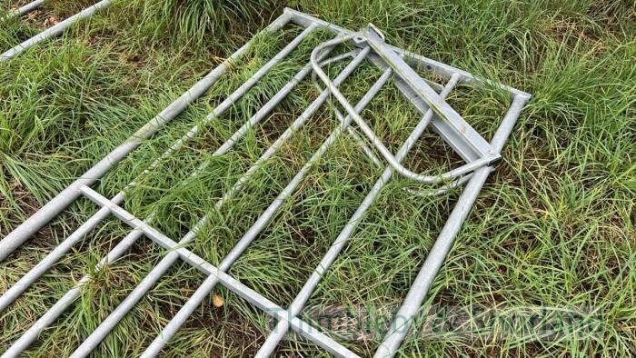 12ft IAE gate and post